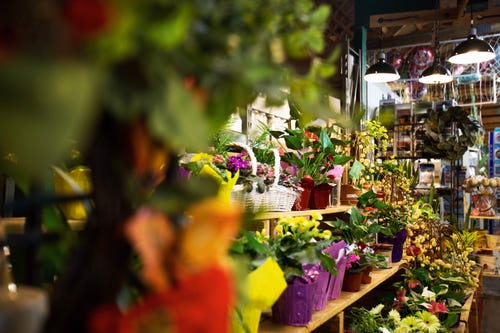 Nearly 60 years after it opened, Horrocks Farm Market is thriving ...