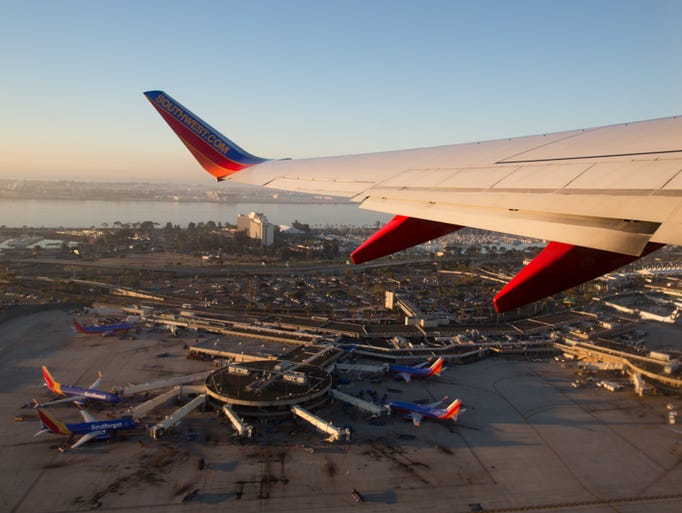 Follow Valentine's flowers from farm to store on Southwest Airlines