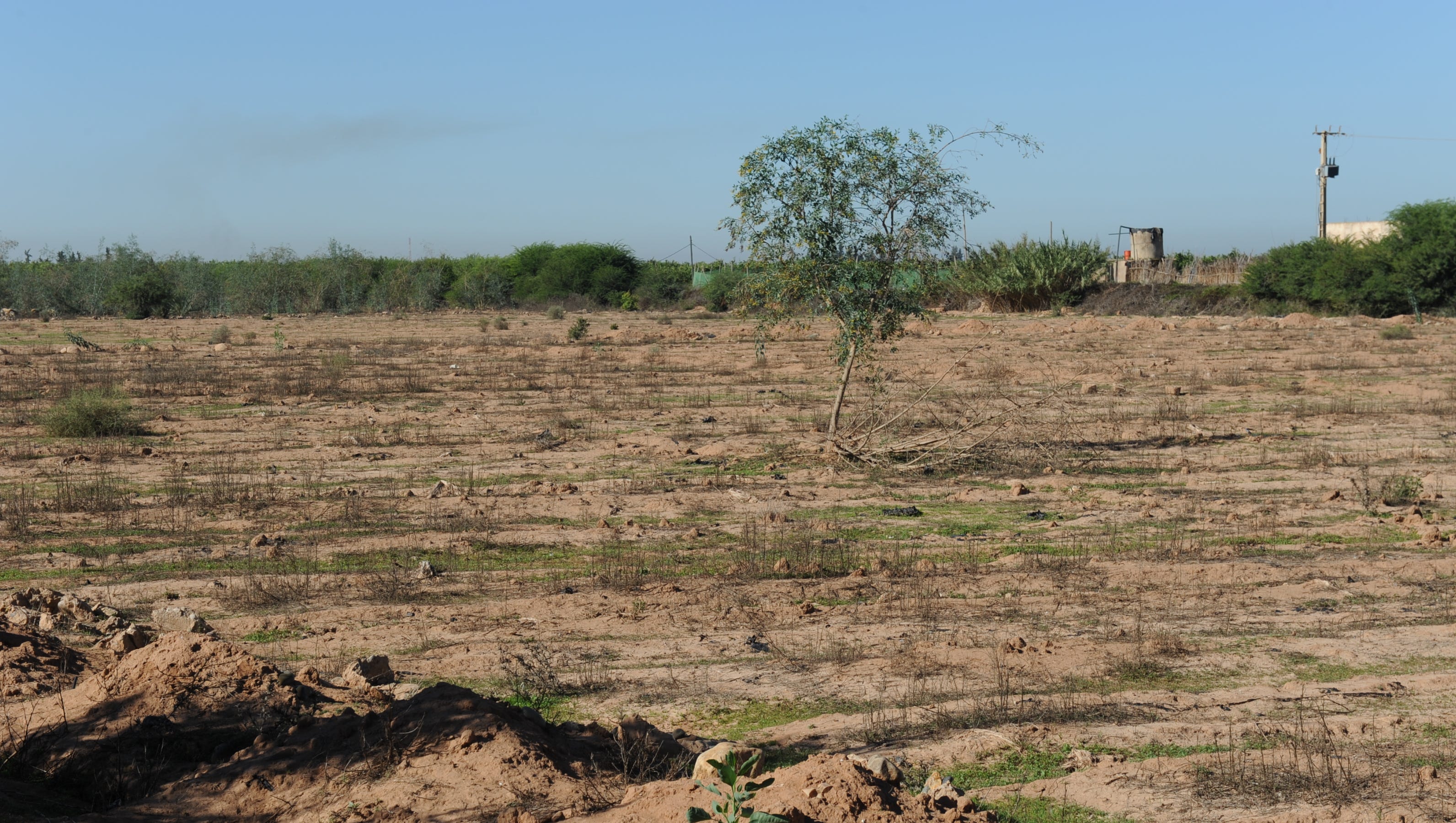 Dry springs and dead orchards