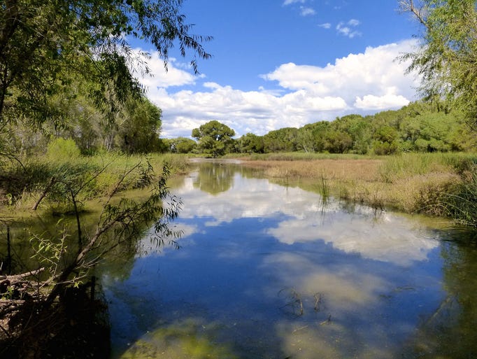 San Pedro River Arizona
