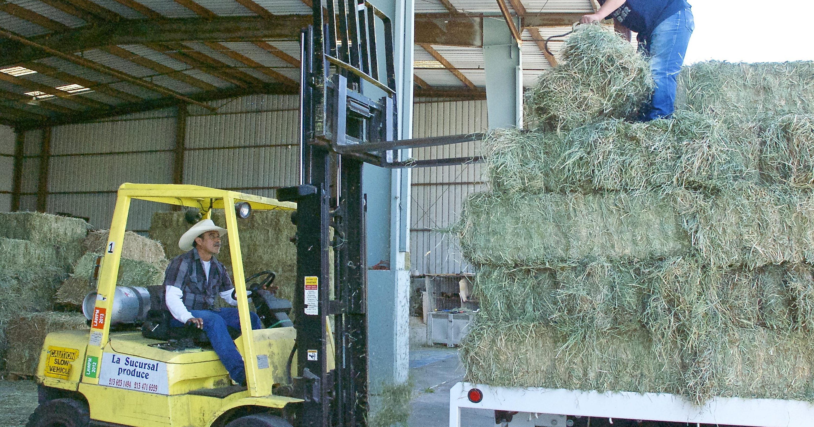 At Dave’s Hay Barn, lifting that bale is a family affair