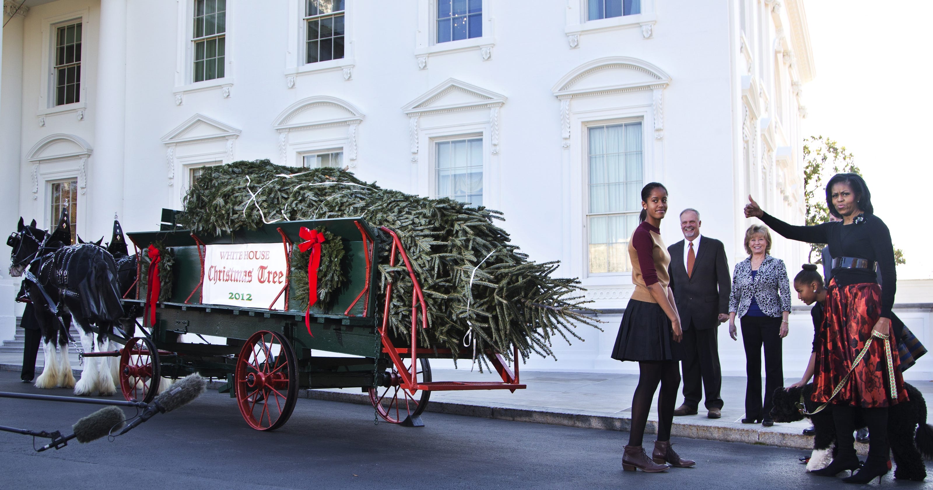 Michelle Obama receives White House Christmas tree