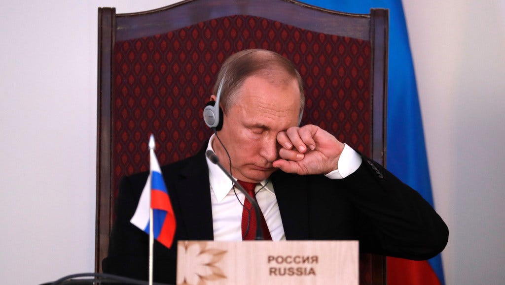 Putin with a kitten among his poses in 2017 calendar