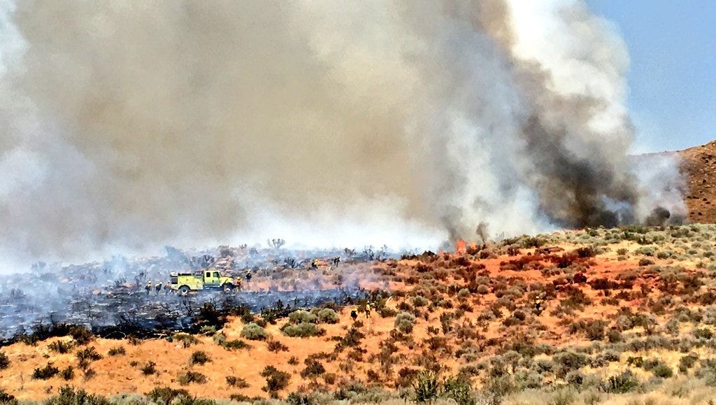 Update: Hundreds of firefighters battle Cold Springs Fire, no ...