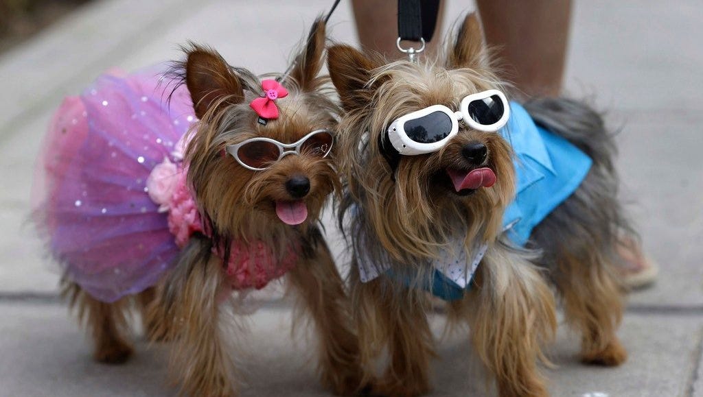 For Valentine's Day, my wife wrote a marital performance review of me