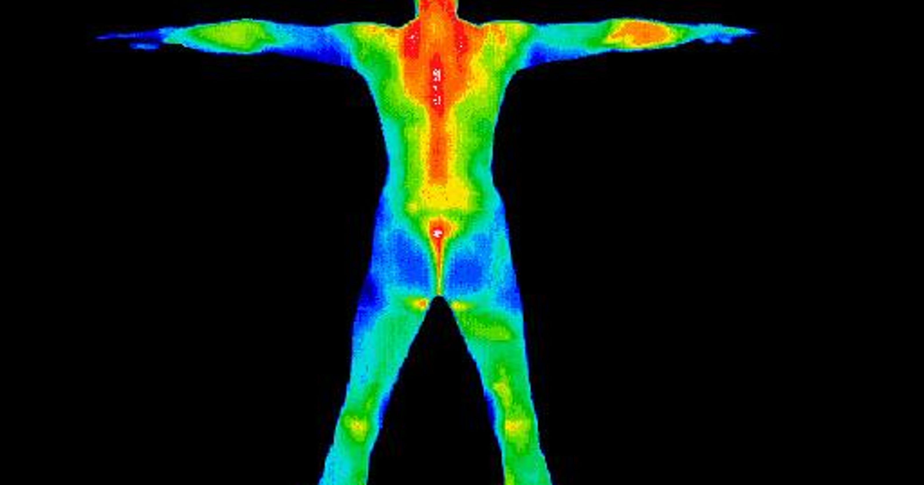 Thermography monitors energy and heat in body