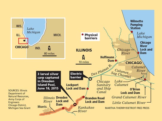 Invasive Asian carp less than 50 miles from Lake Michigan | The Outdoor ...