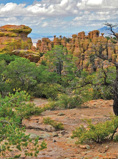 The best things to do in Arizona in 2020: A month-by-month guide