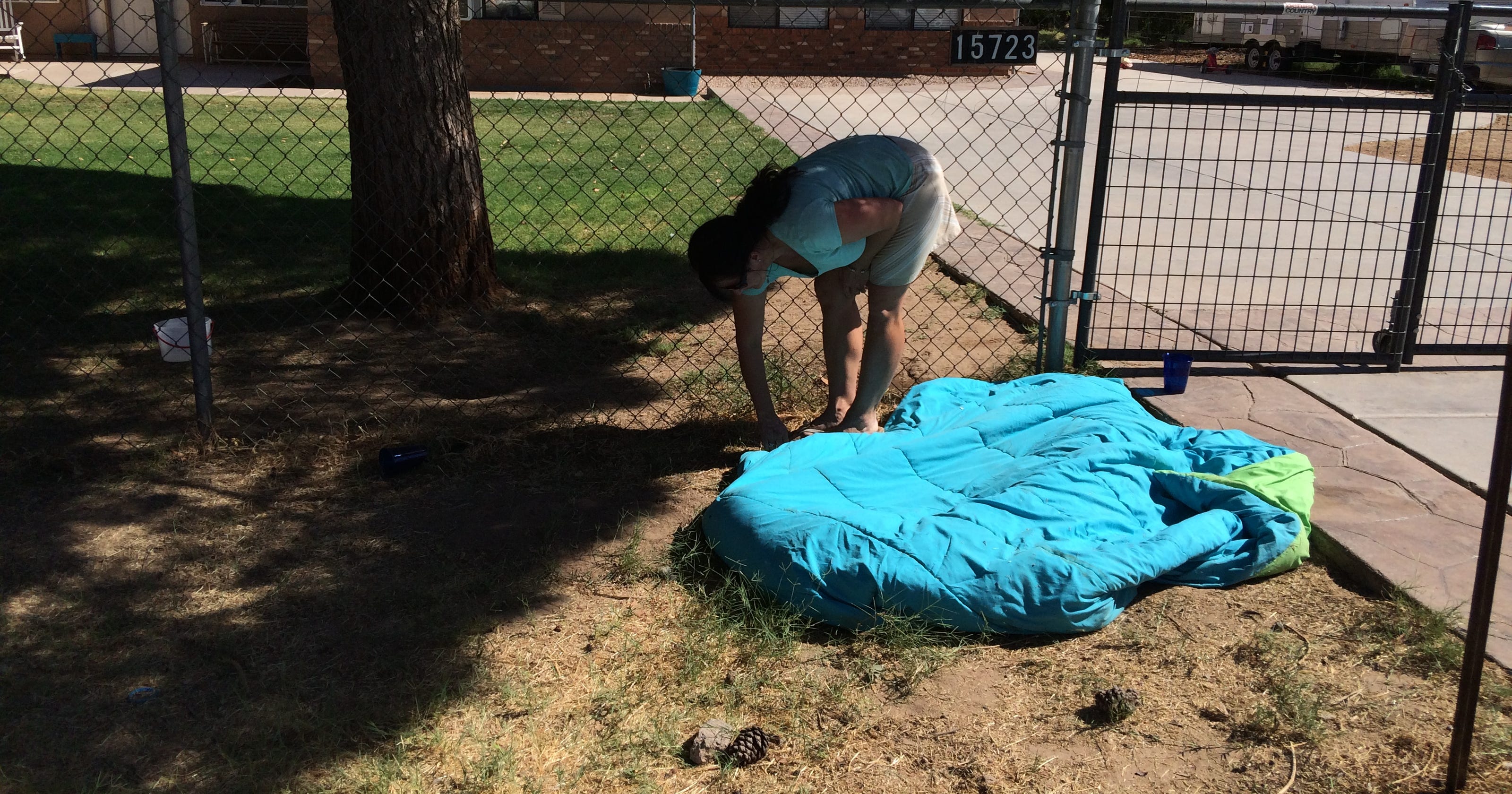 MCSO: 17 dogs dead in 'tragic accident' at Gilbert boarding service