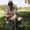 Hunters remove 106 Burmese pythons from Everglades