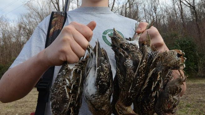 Snipe hunting is not just a legend