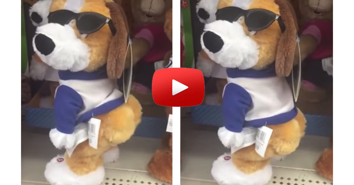 Twerking dog: 'Is that really something we want to teach our kids?'