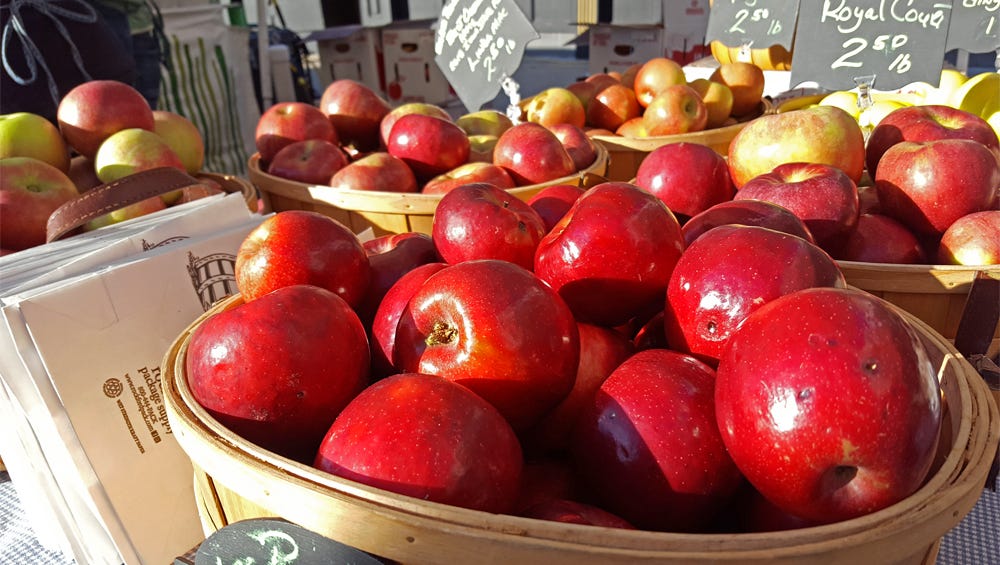 Applefest at Living History Farms in Des Moines: 2018 edition