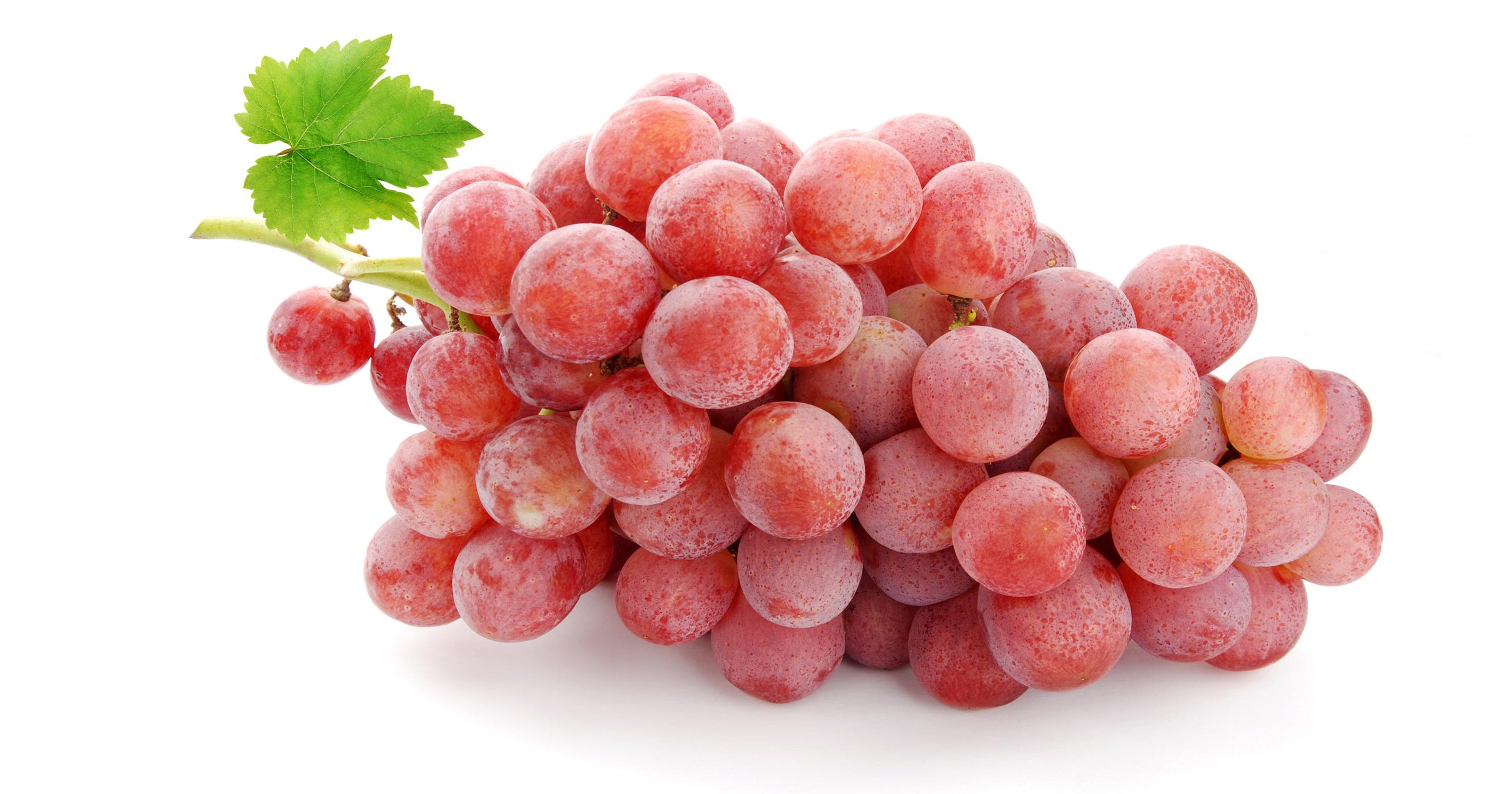 Pink Muscatel grapes are sweet, delicate and in stores now