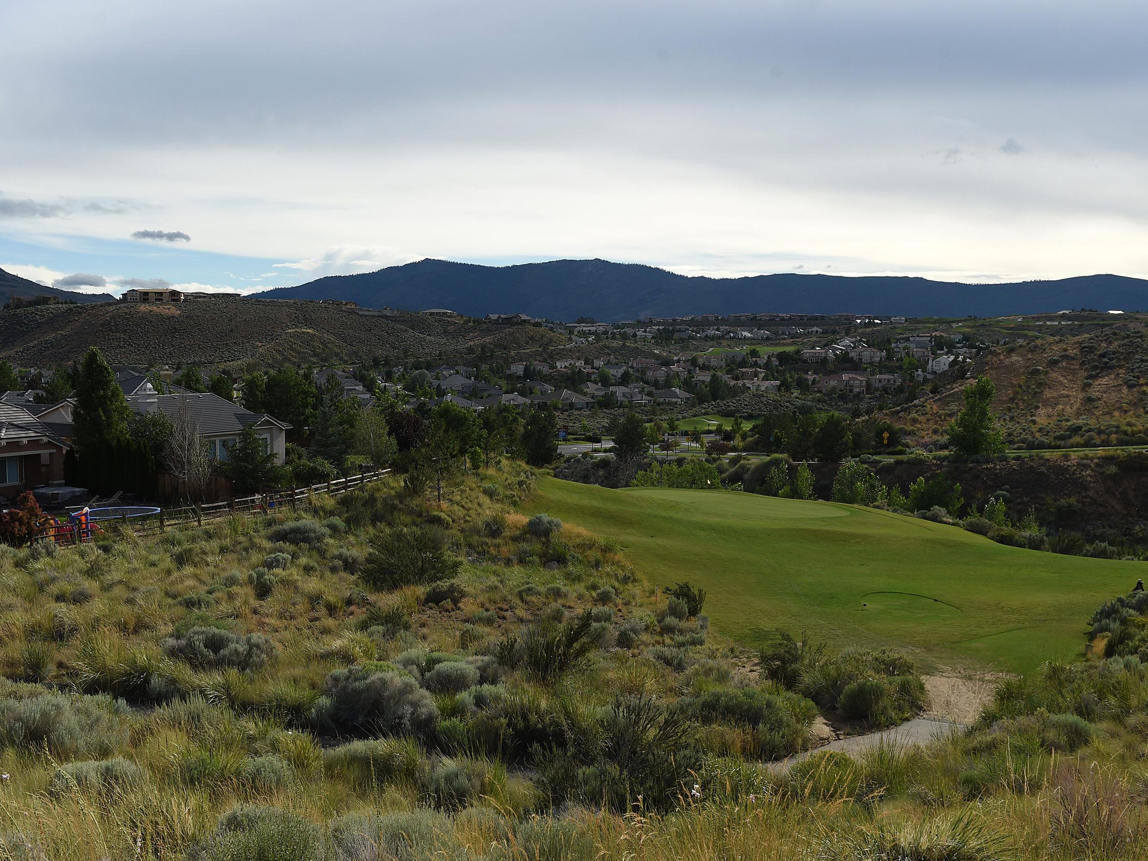 Reno's lush landscapes persist despite drought