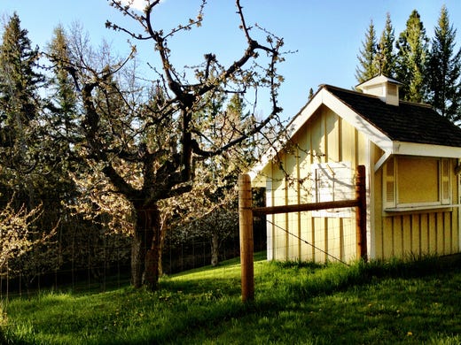 Montana Tech grad, Air Force vet buys LF Ranch, Augusta sources say