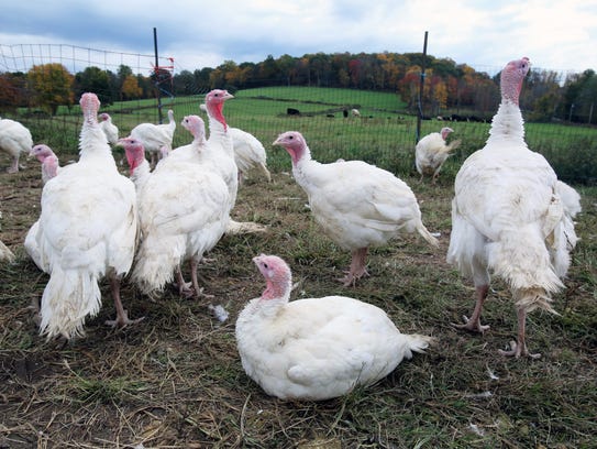 Deadlines are looming if you want a farm-raised turkey or home-baked pie