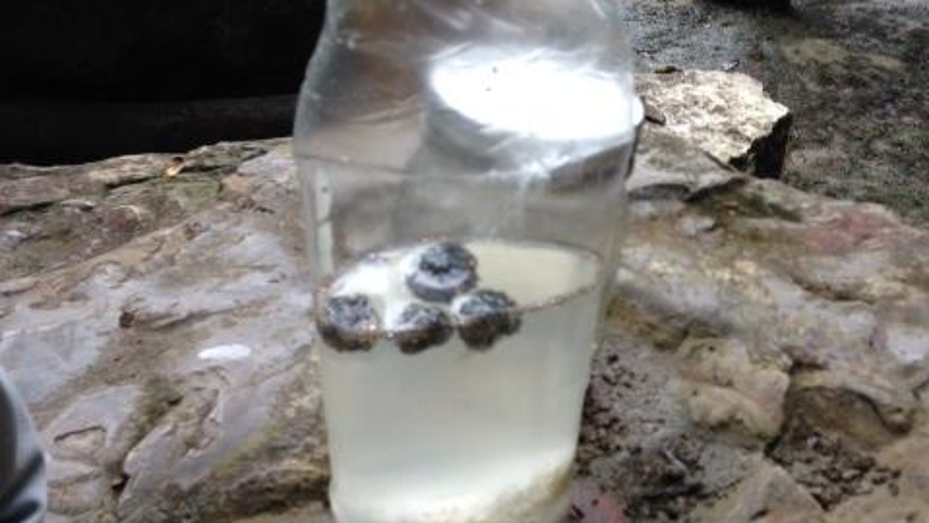 ‘Shake and bake’ meth lab found