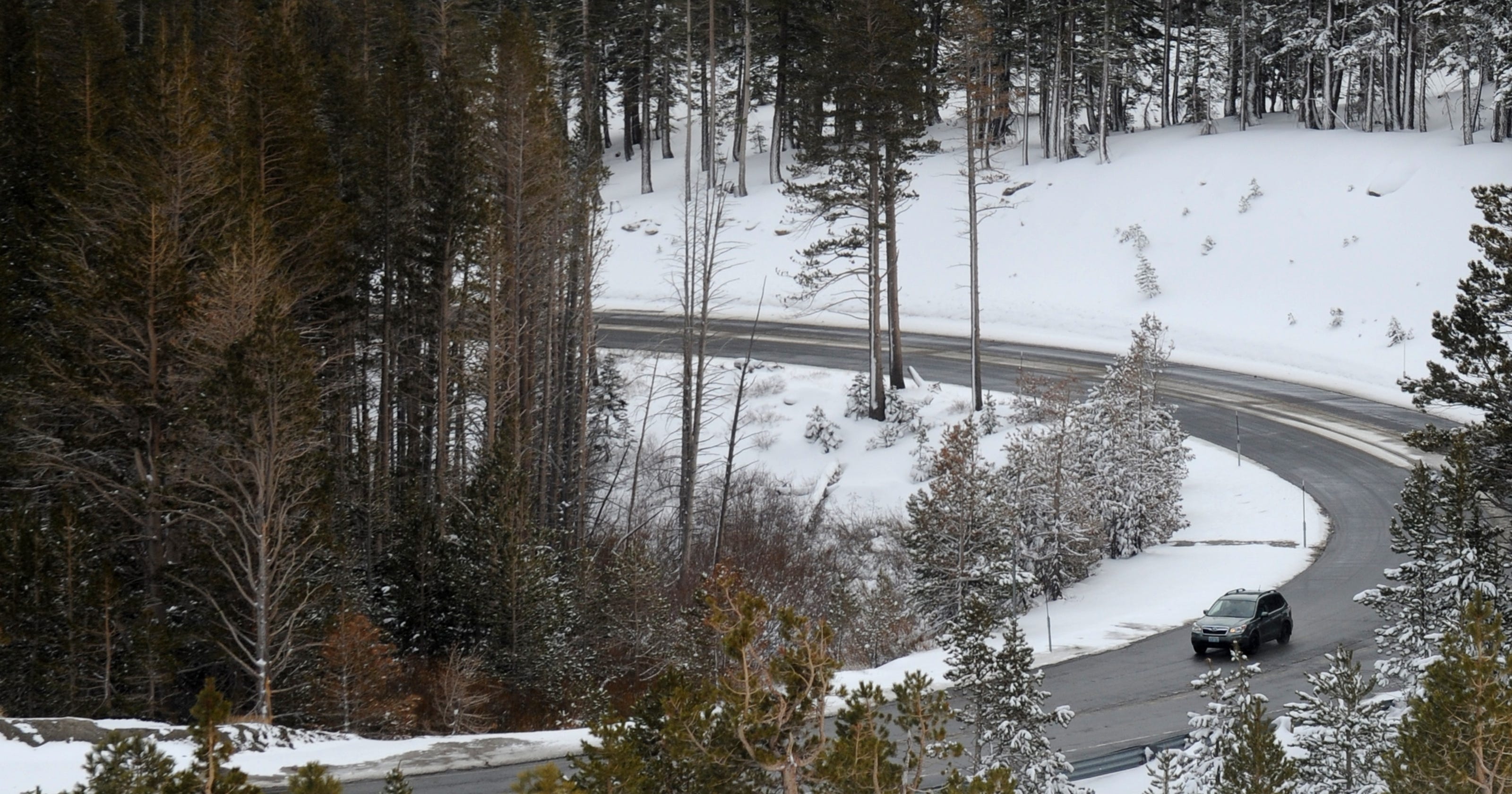 One View: Mt. Rose Highway — scenic corridor or concrete canyon?
