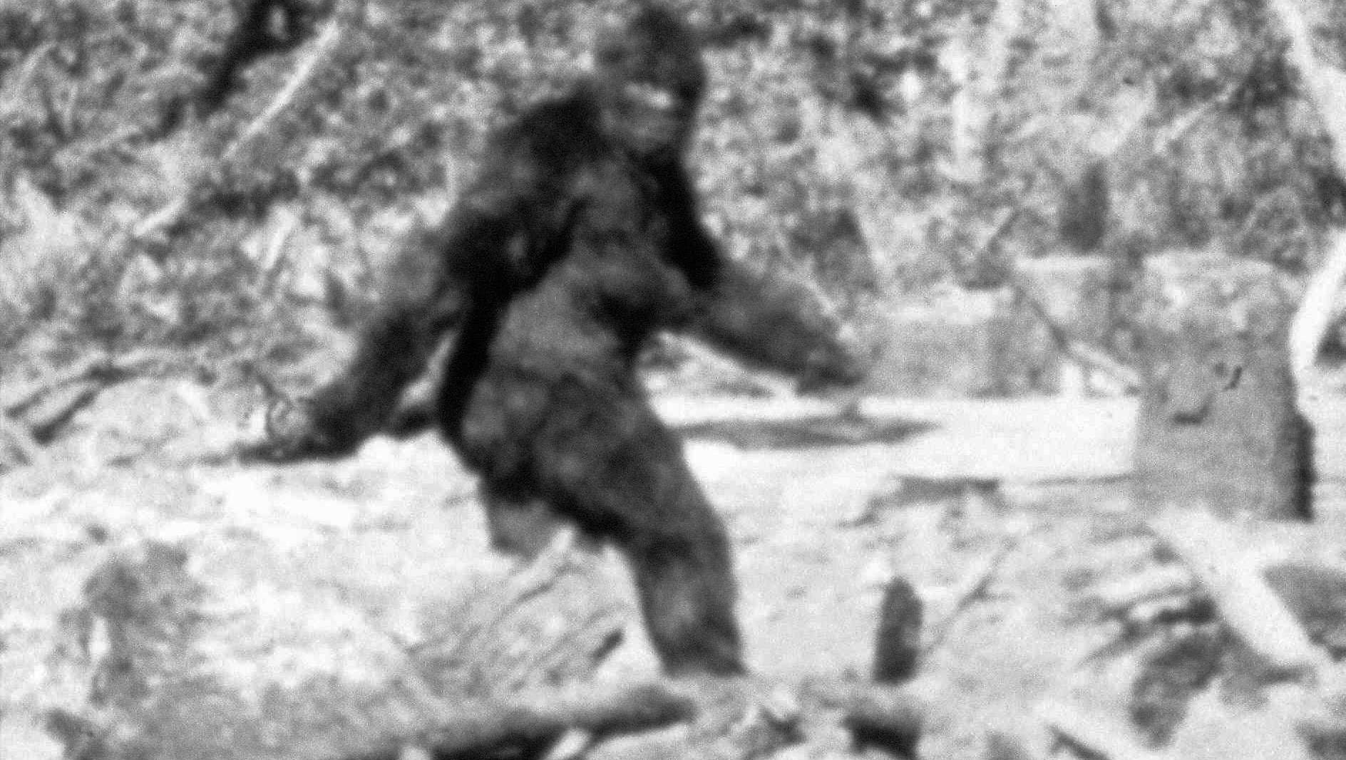 Michigan: full of monsters and mysteries