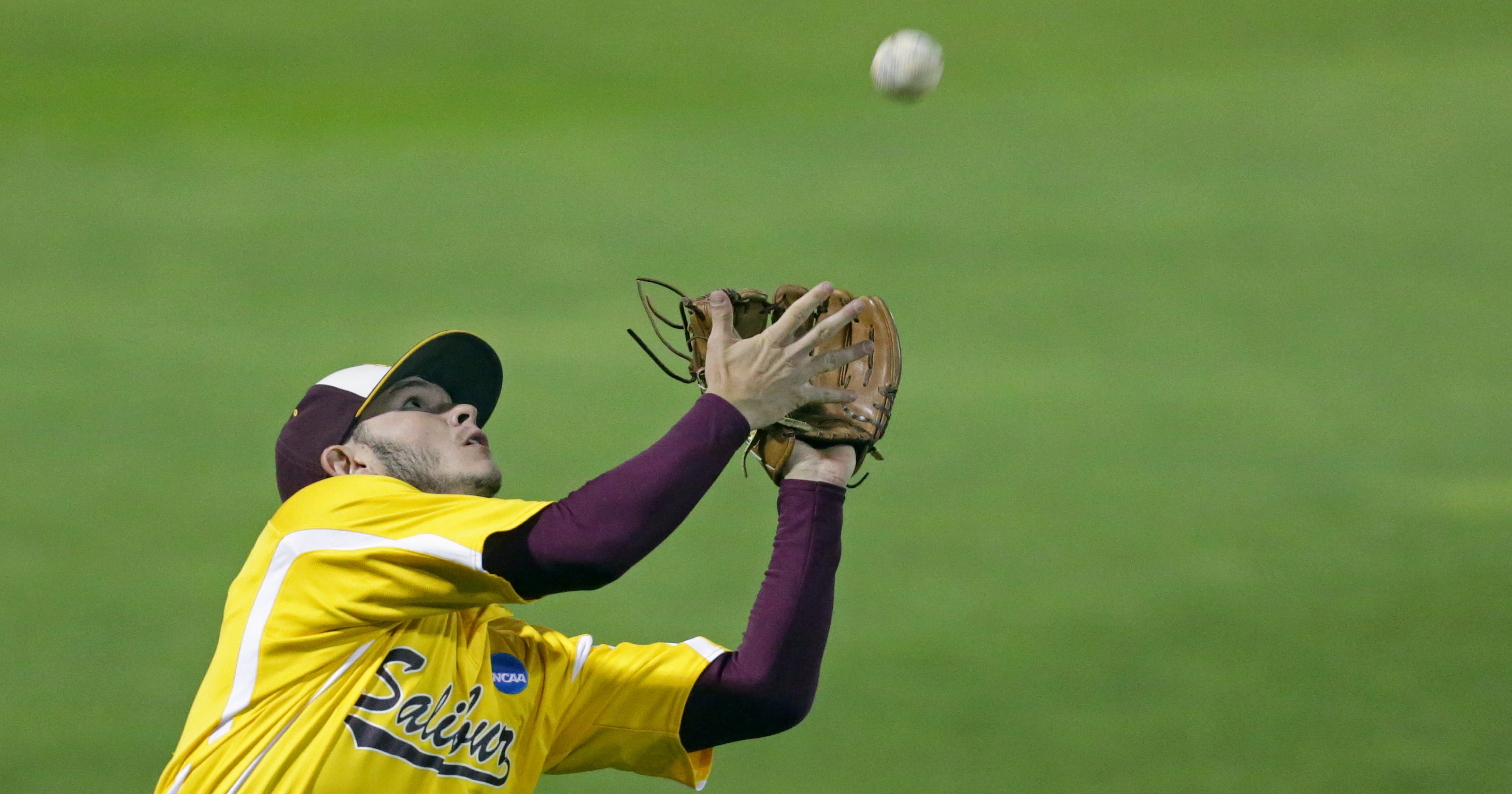 In 2016, goal is the same for Sea Gulls' baseball