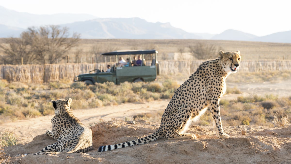 10Best Readers' Choice: Best Place for Wildlife