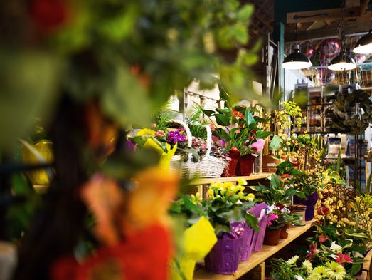 Horrocks a destination attraction by being anything but typical