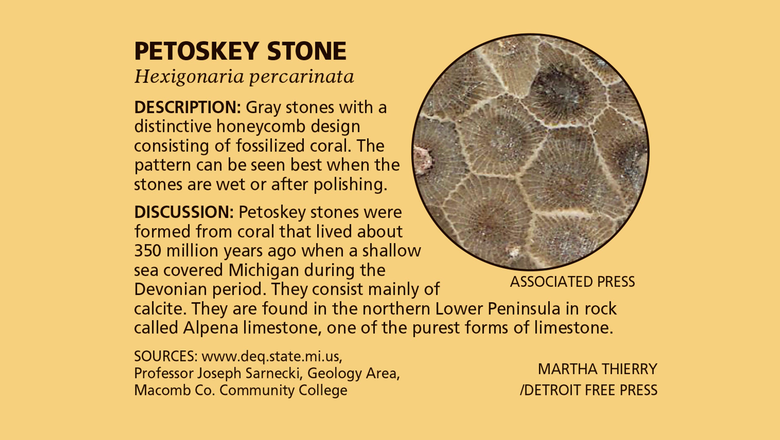 93-pound Petoskey stone confiscated by Michigan DNR