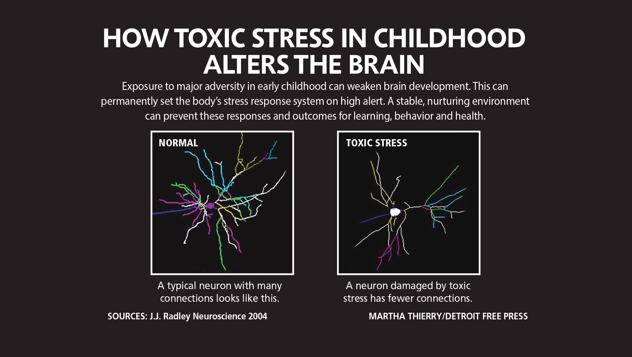 Toxic stress of poverty, violence, pain alter kids' brains
