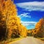 Colorado's fall colors
