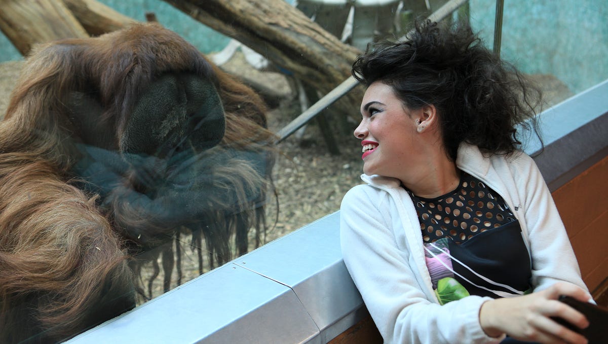 Gallery | Behind the Scenes Fashion at the Zoo