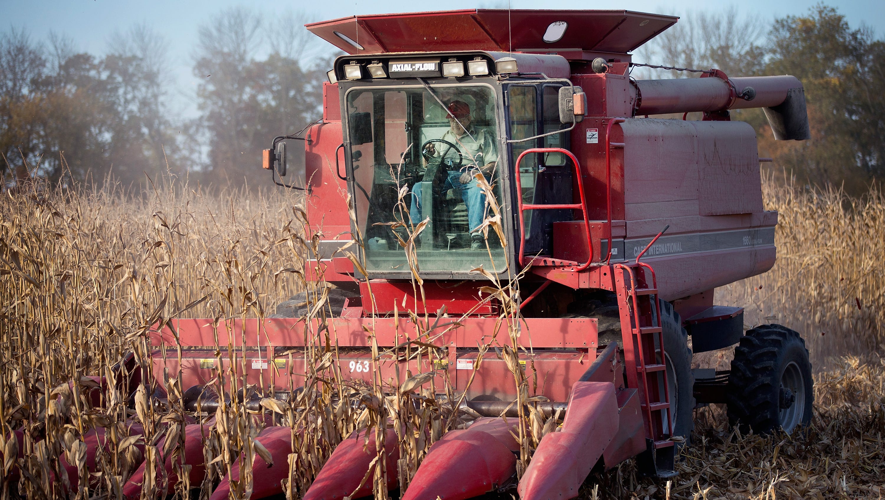 Mexican retaliation over Trump trade talk could hurt corn farmers