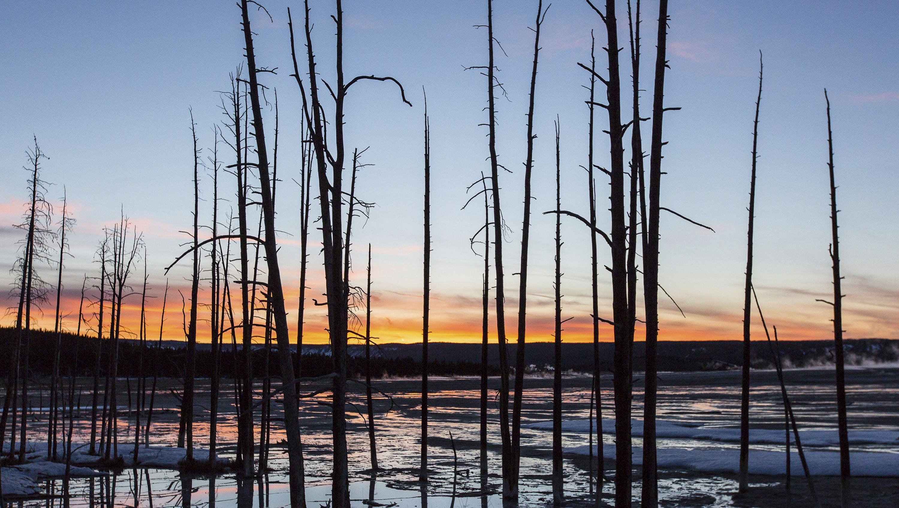 Man is severely burned after falling into Yellowstone hot spring