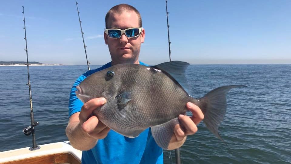 Triggerfish giving fishermen a good fight on the inshore rocks