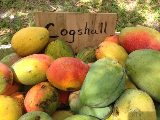 MangoMania in Cape Coral: Everything you need to know about the 2019 ...