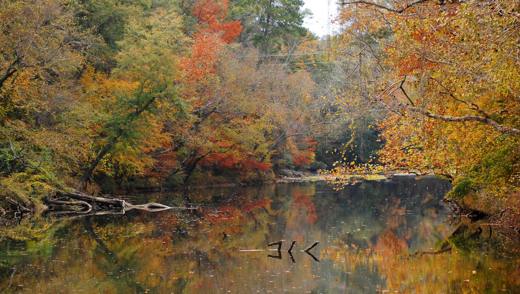Fall color in Mississippi