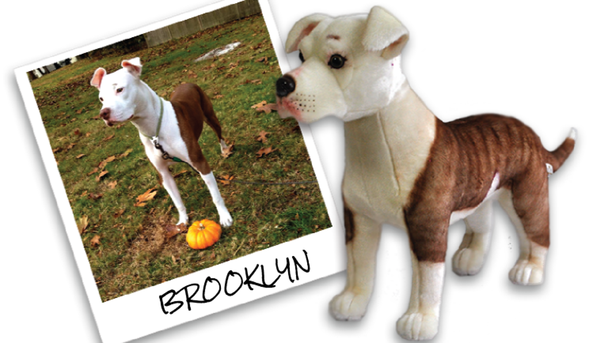 Cuddle Clones makes toys that look like your pets