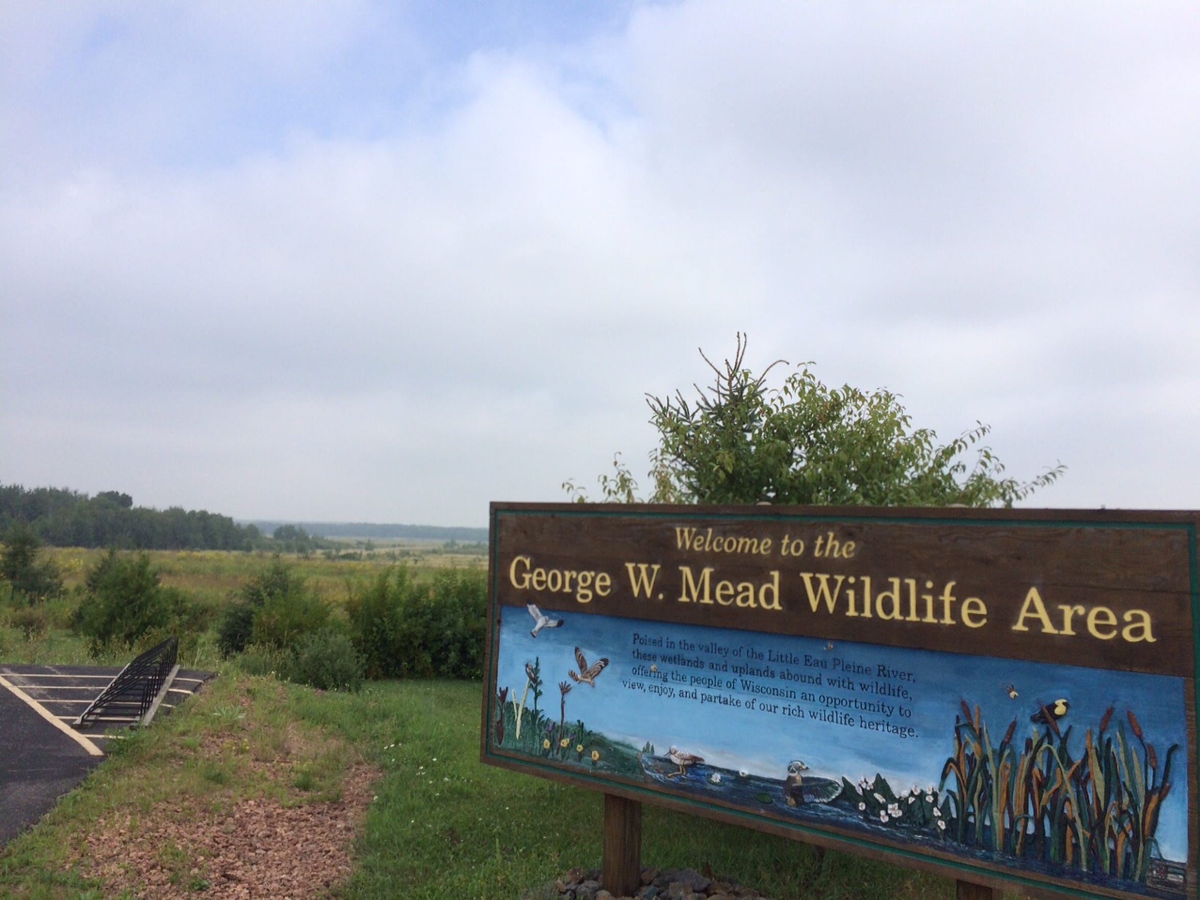 28 summer things to do in Marshfield