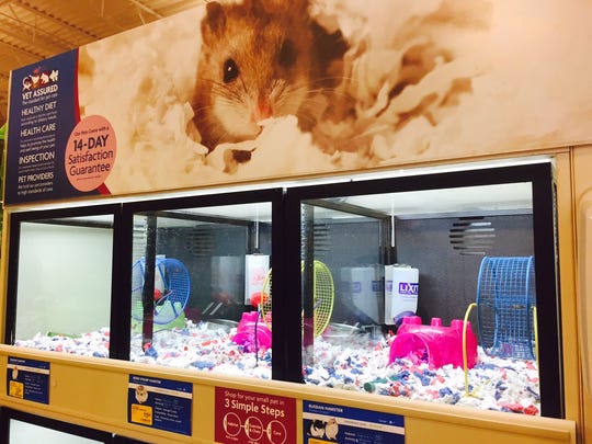 USDA uncovers abuse at rodent supplier that PETA claims is used by PetSmart