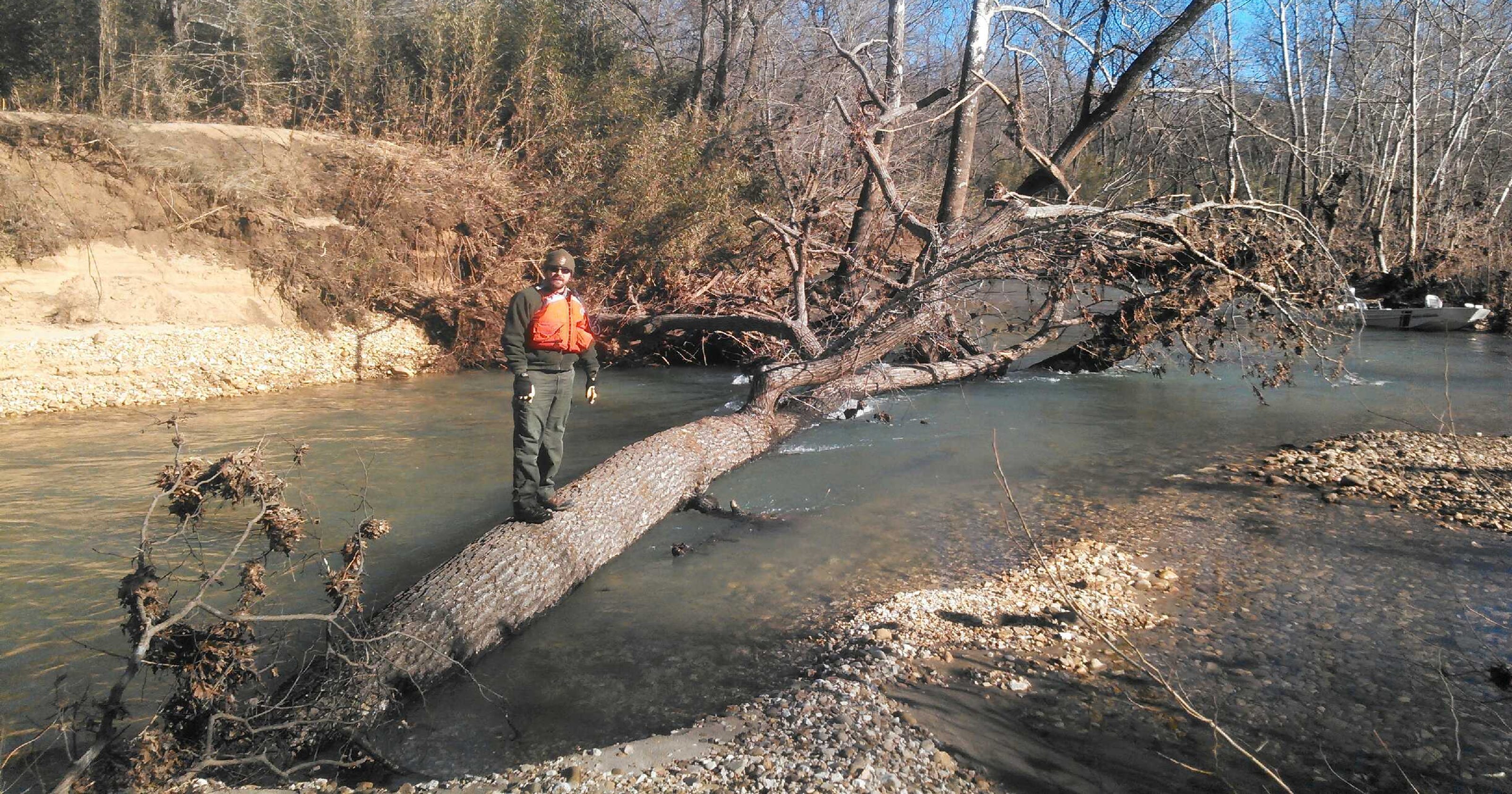 Update: Tree blocking Buffalo River will be removed