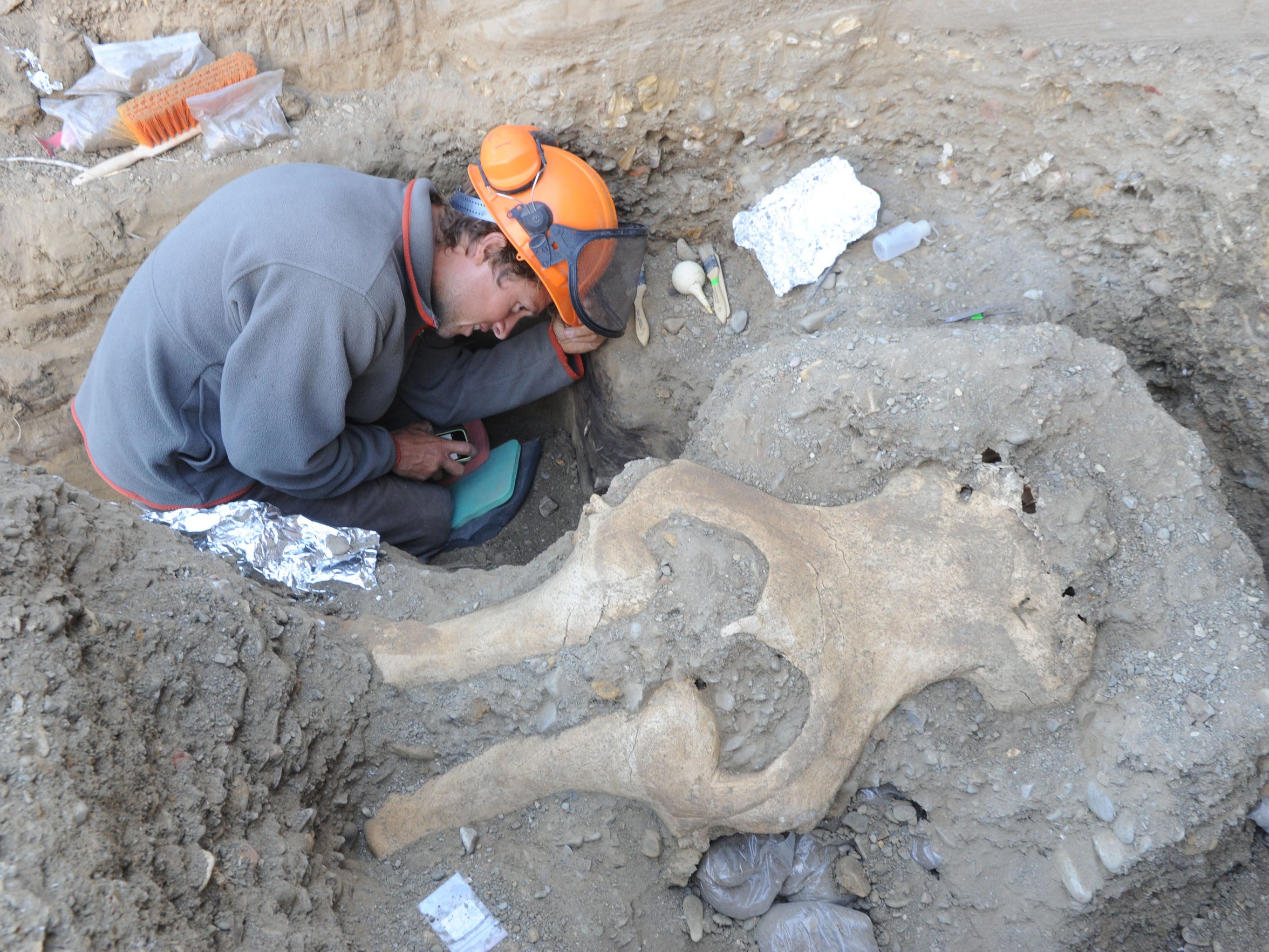 Rare mammoth fossil found in national park