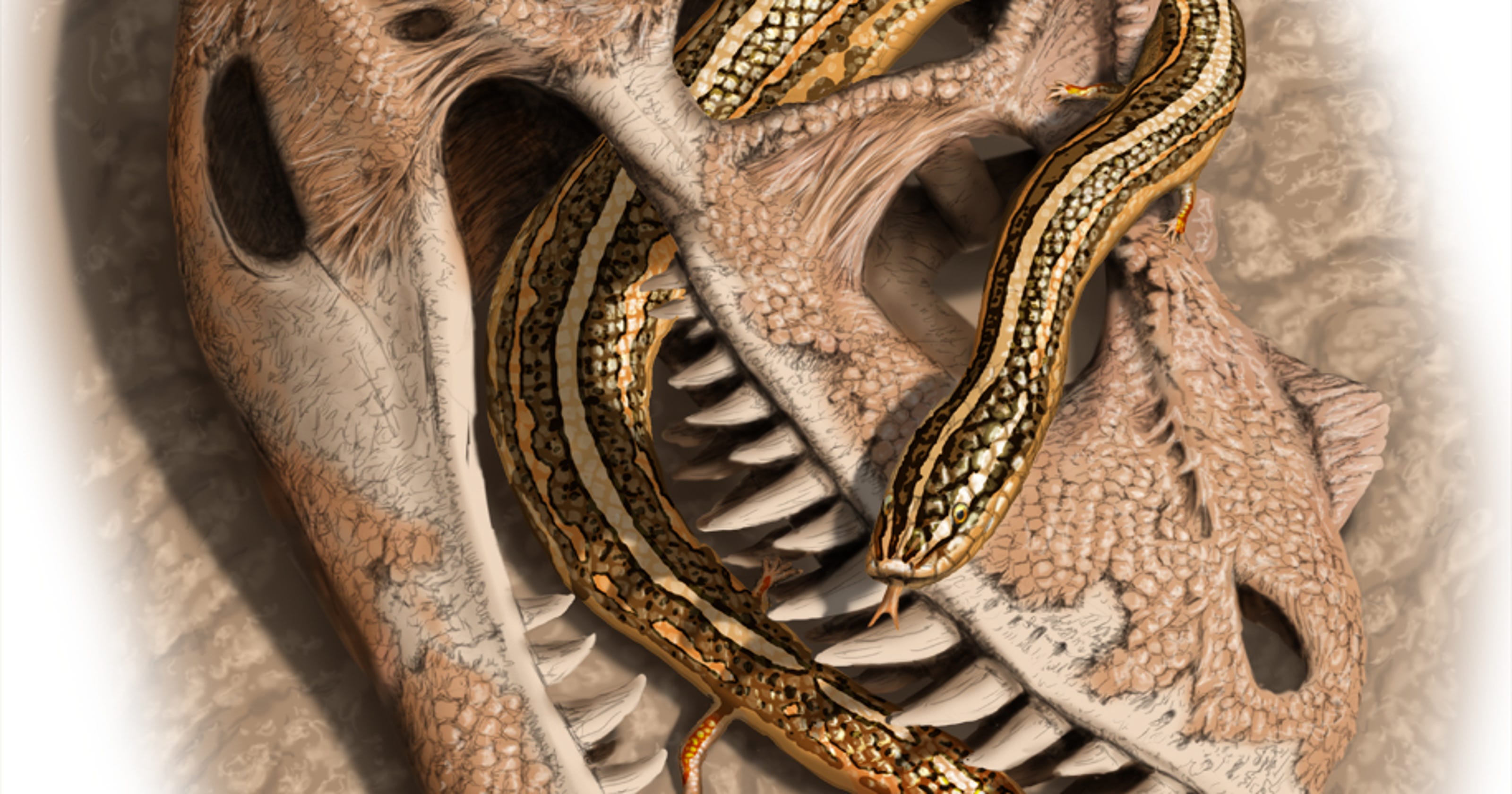 World's oldest snake reveals secrets of slithery evolution