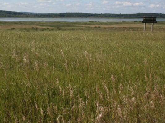 Kayakers stranded in Grand River Marsh area rescued by drones