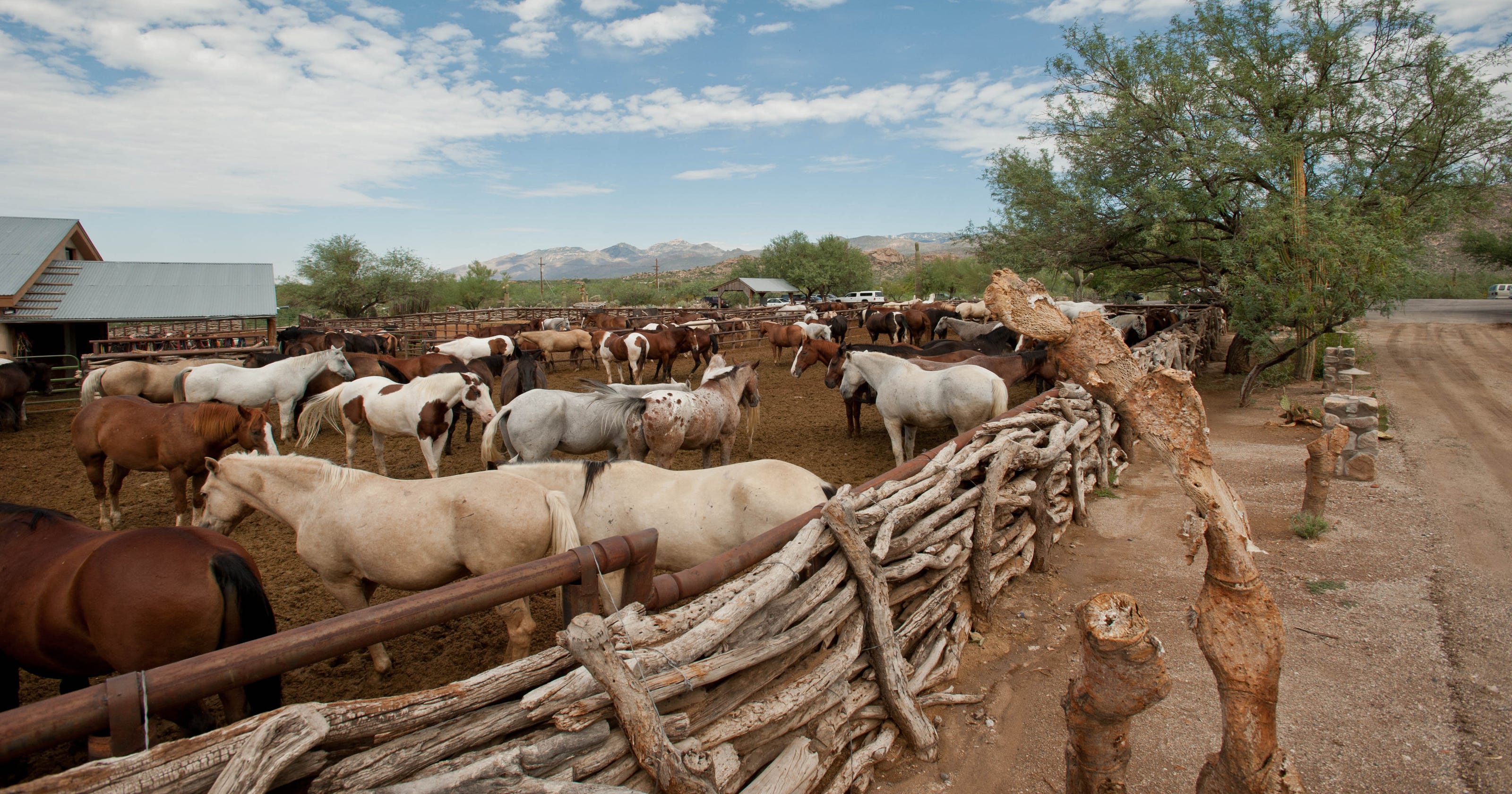 Wild, wild West: Resorts that appeal to your inner cowboy