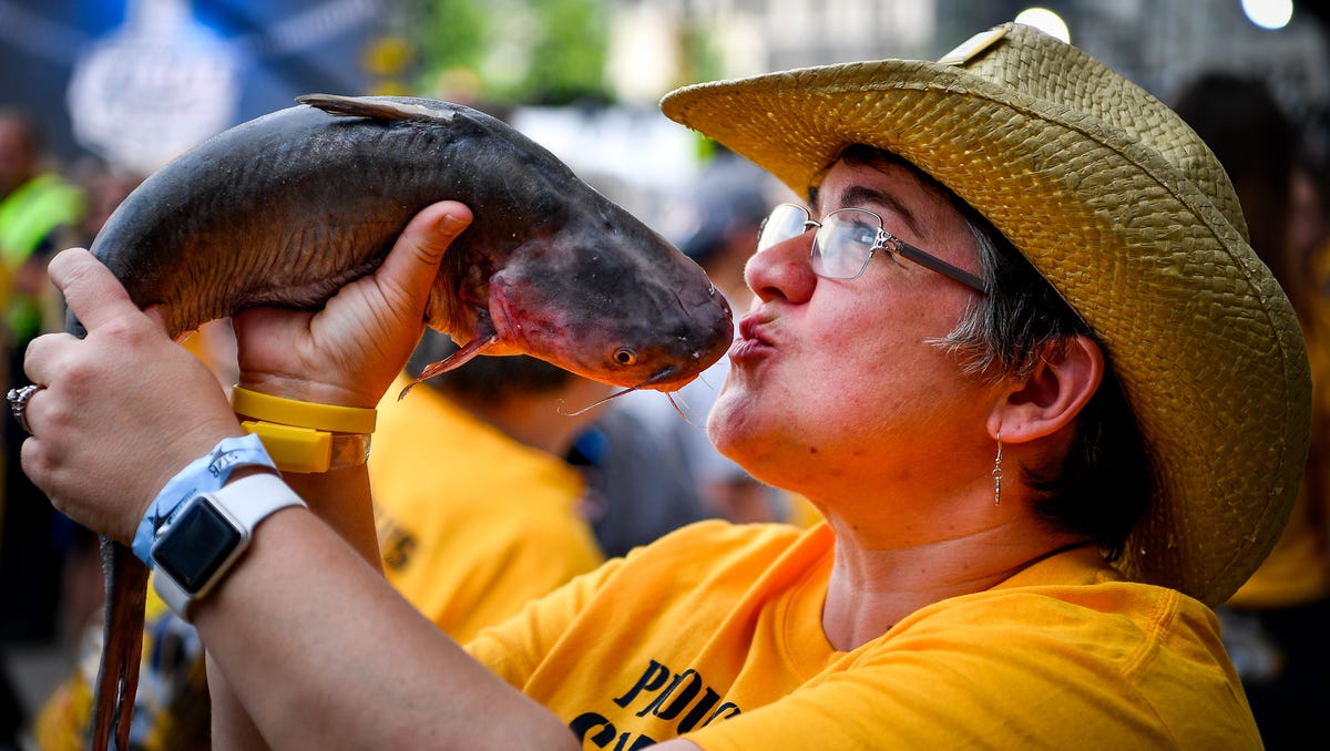 Fans cheer the Predators in Stanley Cup Final