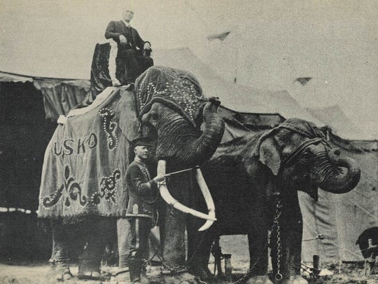 Tusko the infamous elephant makes Salem home in 1931