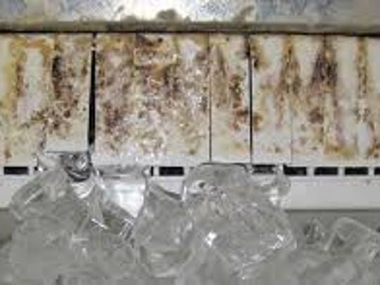 Mold and slime on soda fountains can make you seriously sick