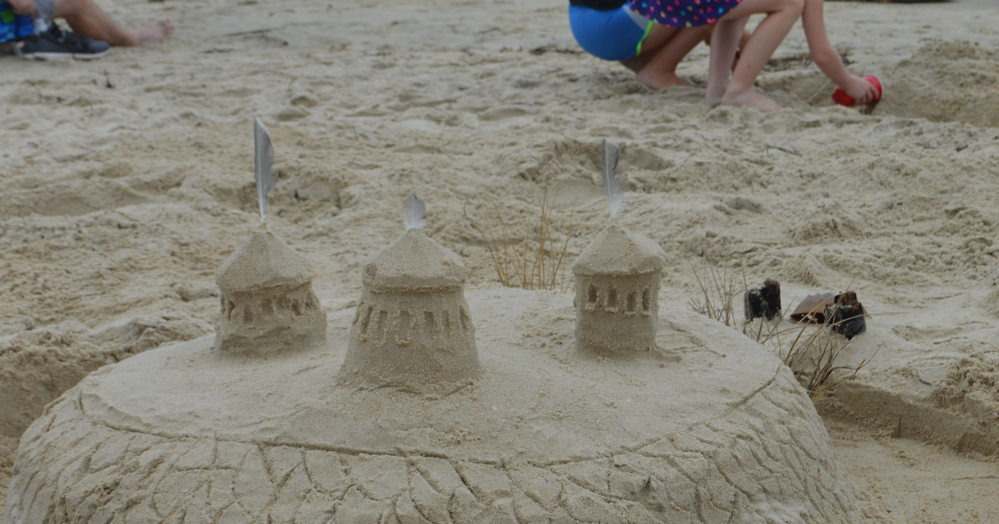 Sharks, sea turtles all winners at sand castle contest