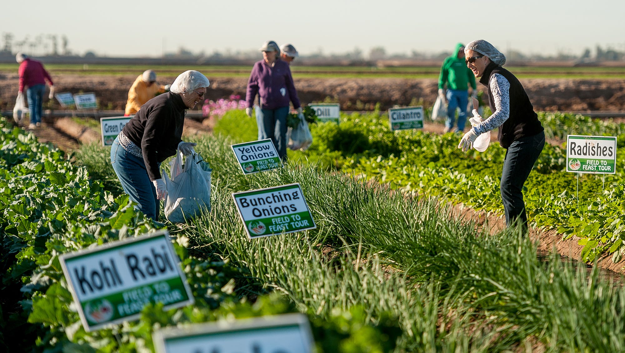 Yum: Yuma food tours showcase fresh produce