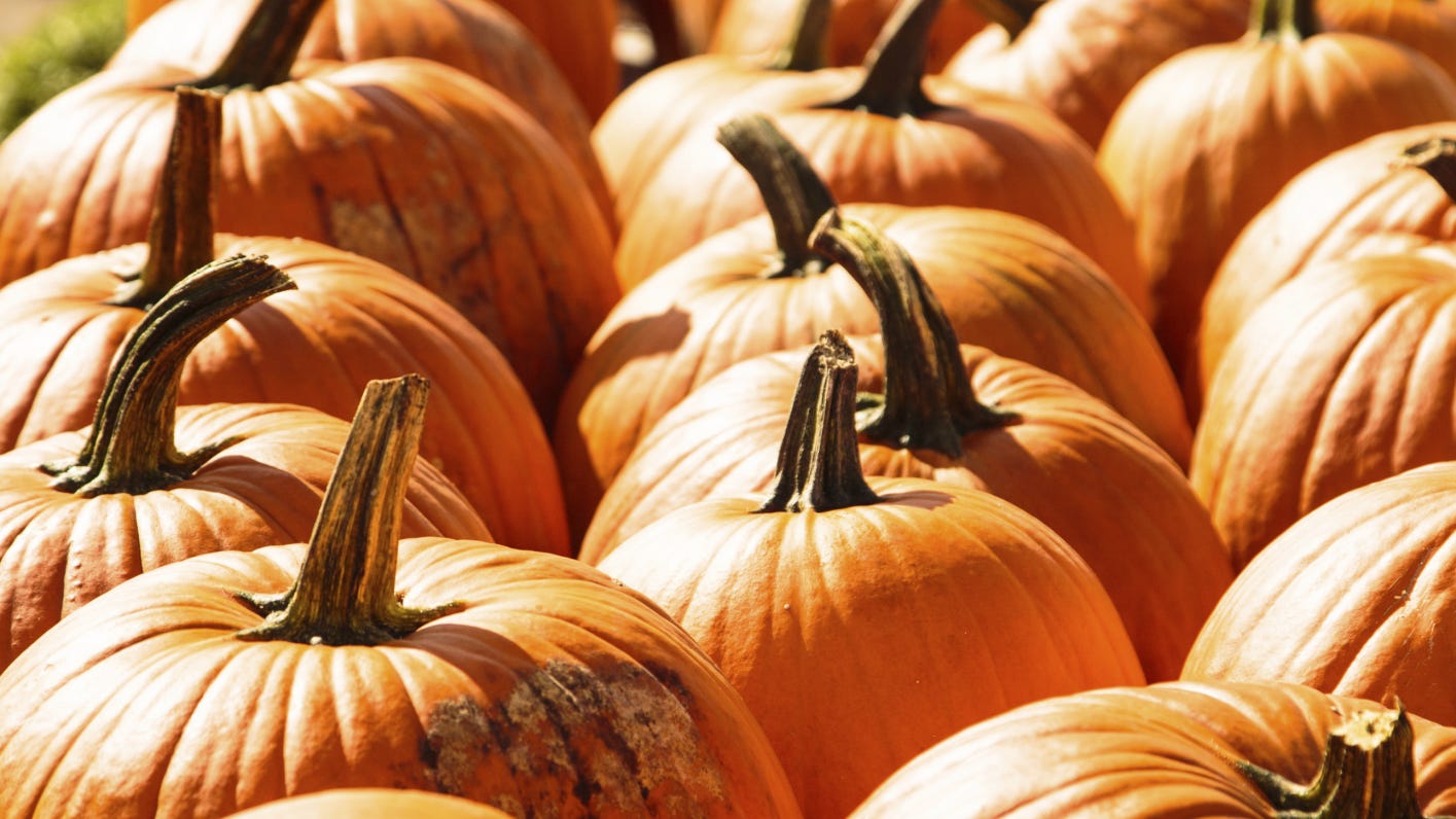 Reap the nutritional power of pumpkin